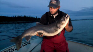 World Record Lake Trout: The Biggest Catch in History - White Fish Bay Camp